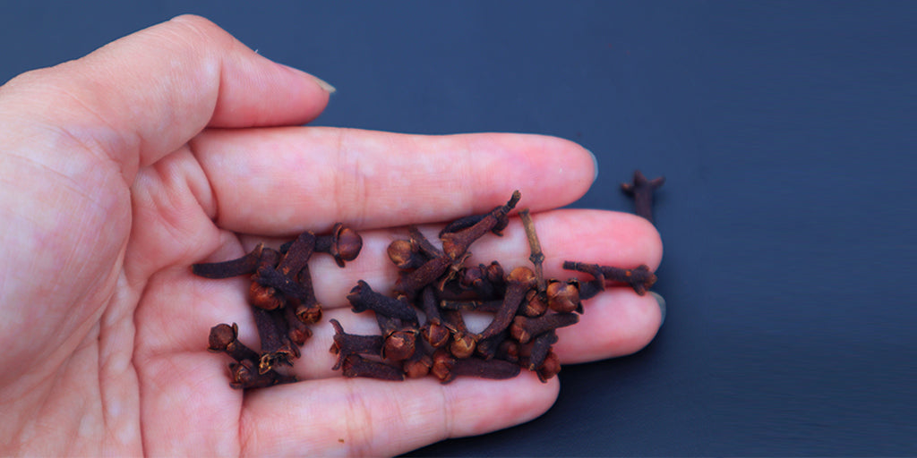 The Digestive Power of Cloves: Benefits, Uses & Precautions – The Spice ...