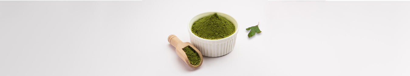 What Is File Powder? – Origins, Uses, and Benefits – The Spice Way ...