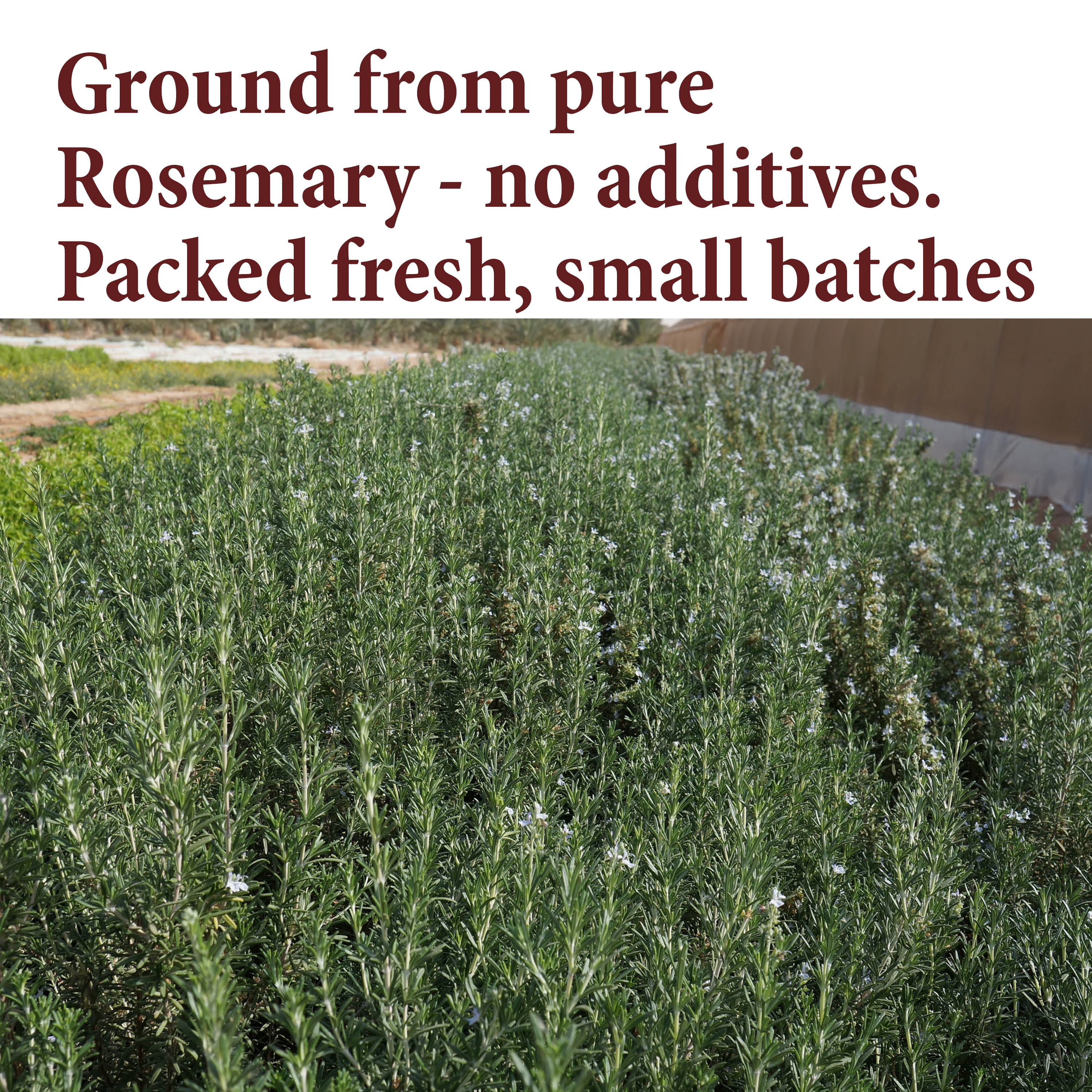 FUNCTIONAL PLANTS – The Spice Way - Nature with Benefits